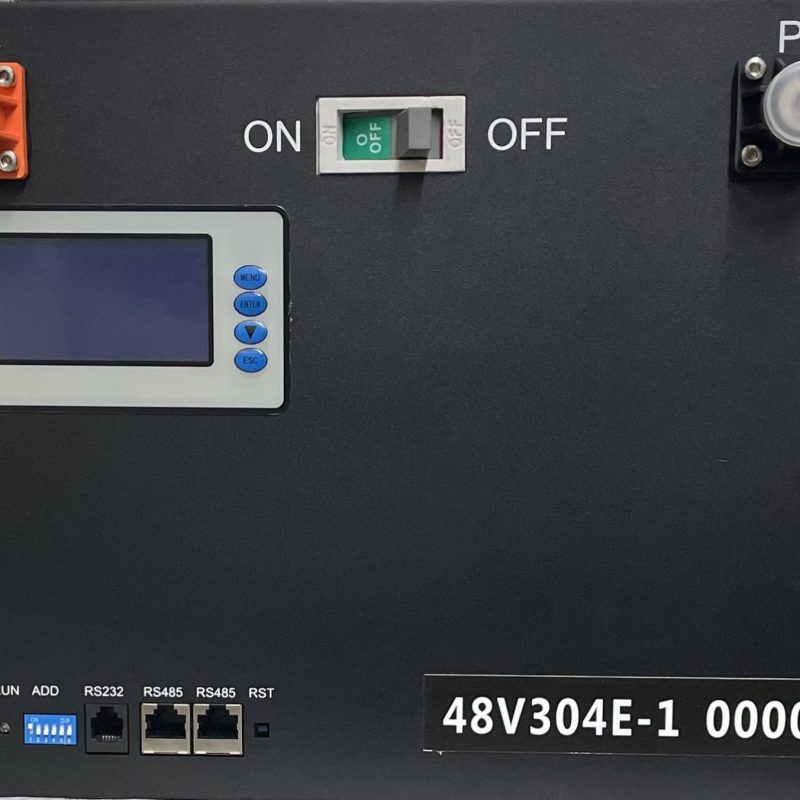 48V304E-2 – Trophy Battery